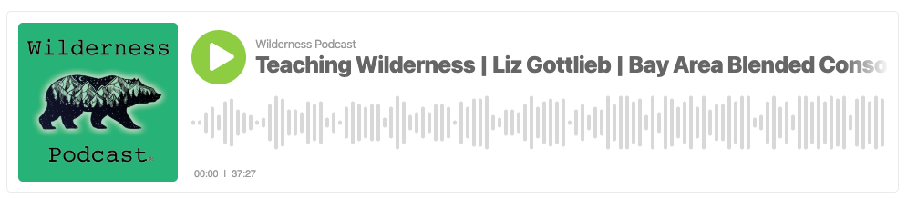 Wilderness Studies Featured on Wilderness Podcast – BlendEd Consortium